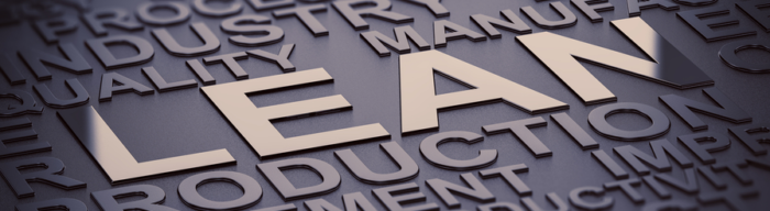 Leading the Lean Transformation Journey (2-day) | Pico