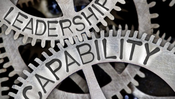 shutterstock_597819656-Leadership-Capability-banner-jpeg | Pico